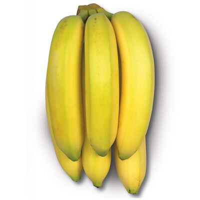 Bio Banane 1000 g | Selgros