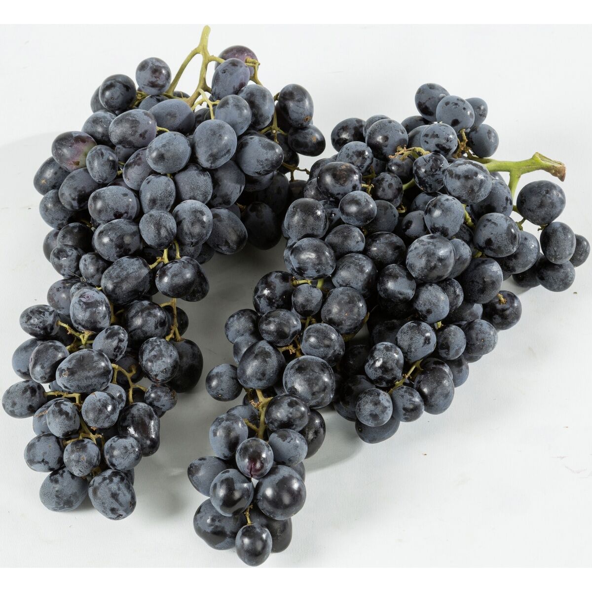 Traube Allison Seedless 1000g | Selgros