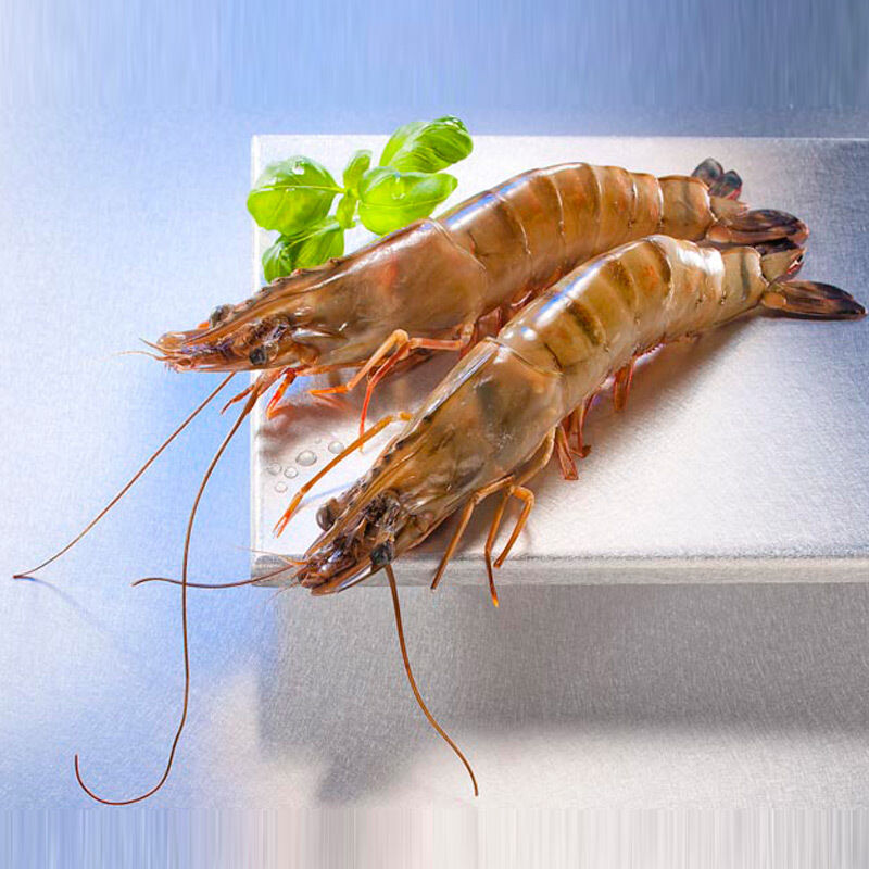 Garnelen 31/40 TK 1kg | Selgros